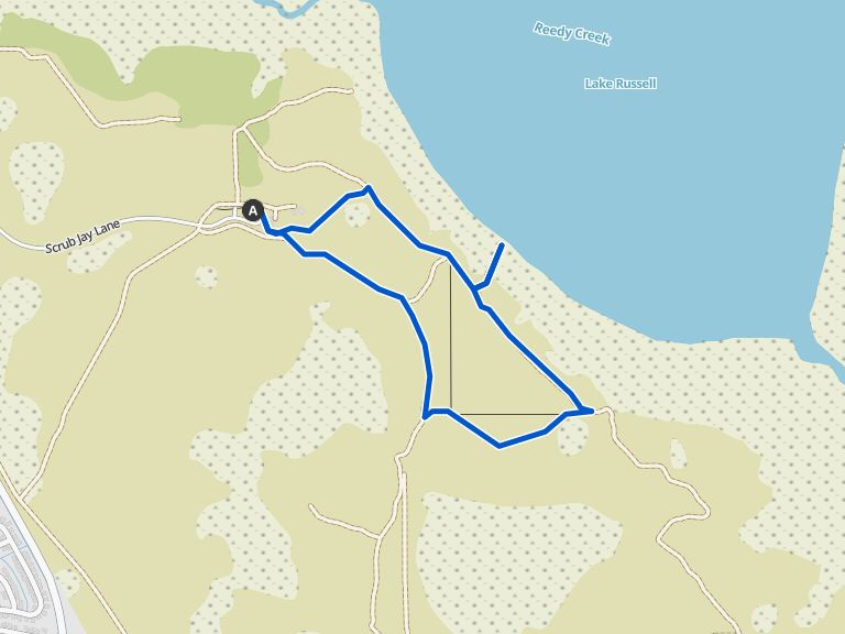 Lake Russell Loop – Disney Wilderness Preserve | hike | Komoot